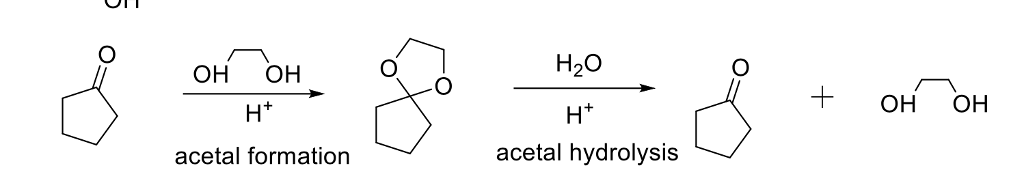 Solved OH OH acetal formation H20 acetal hydrolysis OH OH | Chegg.com