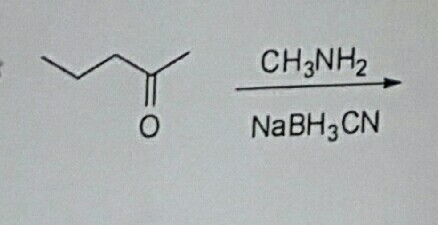 Solved CH3NH NaBH3CN | Chegg.com