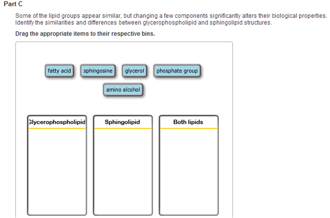 Solved Which class of lipids does the following molecule | Chegg.com
