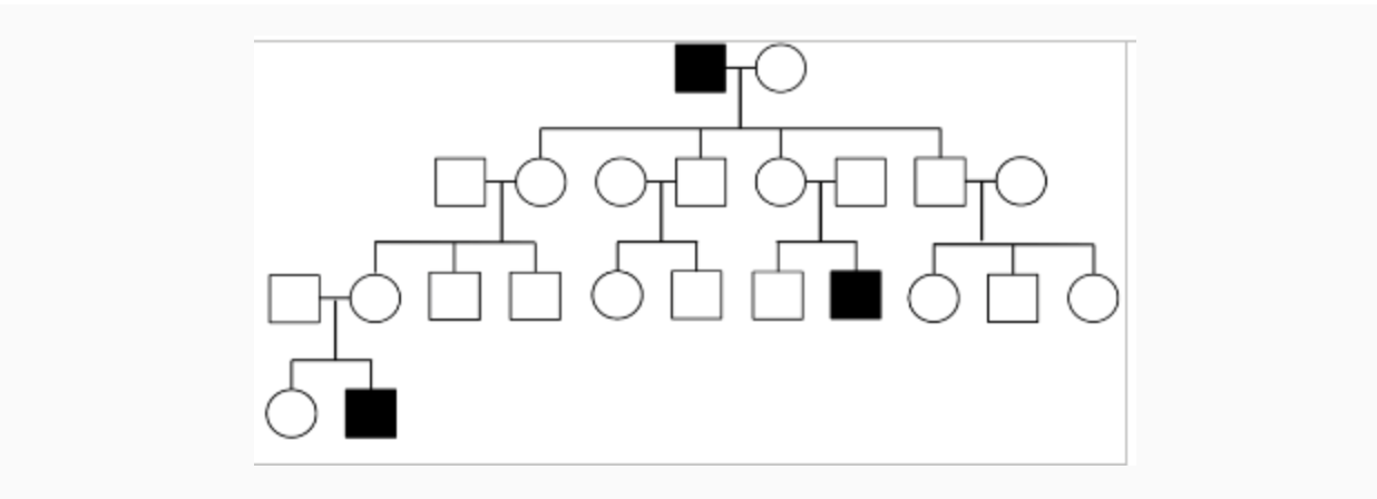 Solved In the following pedigree, what's the most likely | Chegg.com