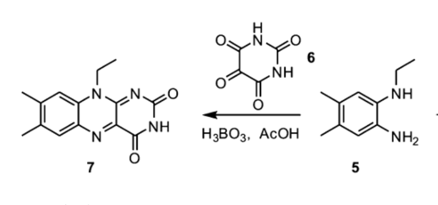 Solved 6 NH NH NH H3B03. AcOH NH2 5 | Chegg.com