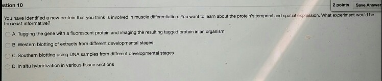 Solved stion 10 2 points Save Answer You have identified a | Chegg.com