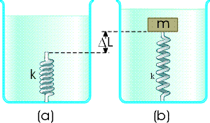 Solved A light spring of constant k = 168 N/m | Chegg.com