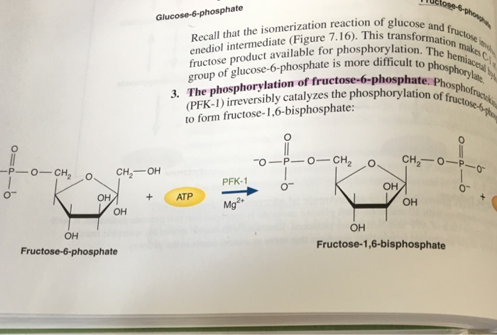 Solved Recall that the isomerization reaction of glucose and | Chegg.com