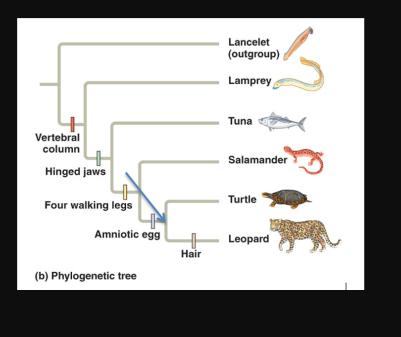Biology Archive | July 01, 2017 | Chegg.com