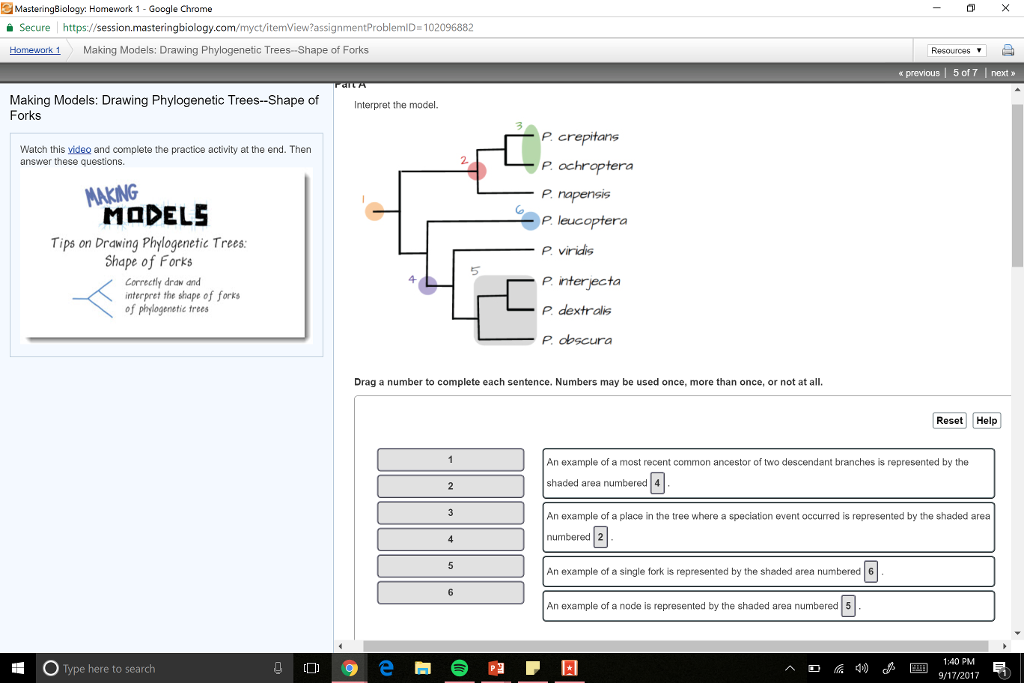 Solved: MasteringBiology: Homework 1 Google Chrome Secureh... | Chegg.com