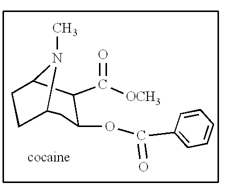 Solved The structure of cocaine is shown below. What is the | Chegg.com