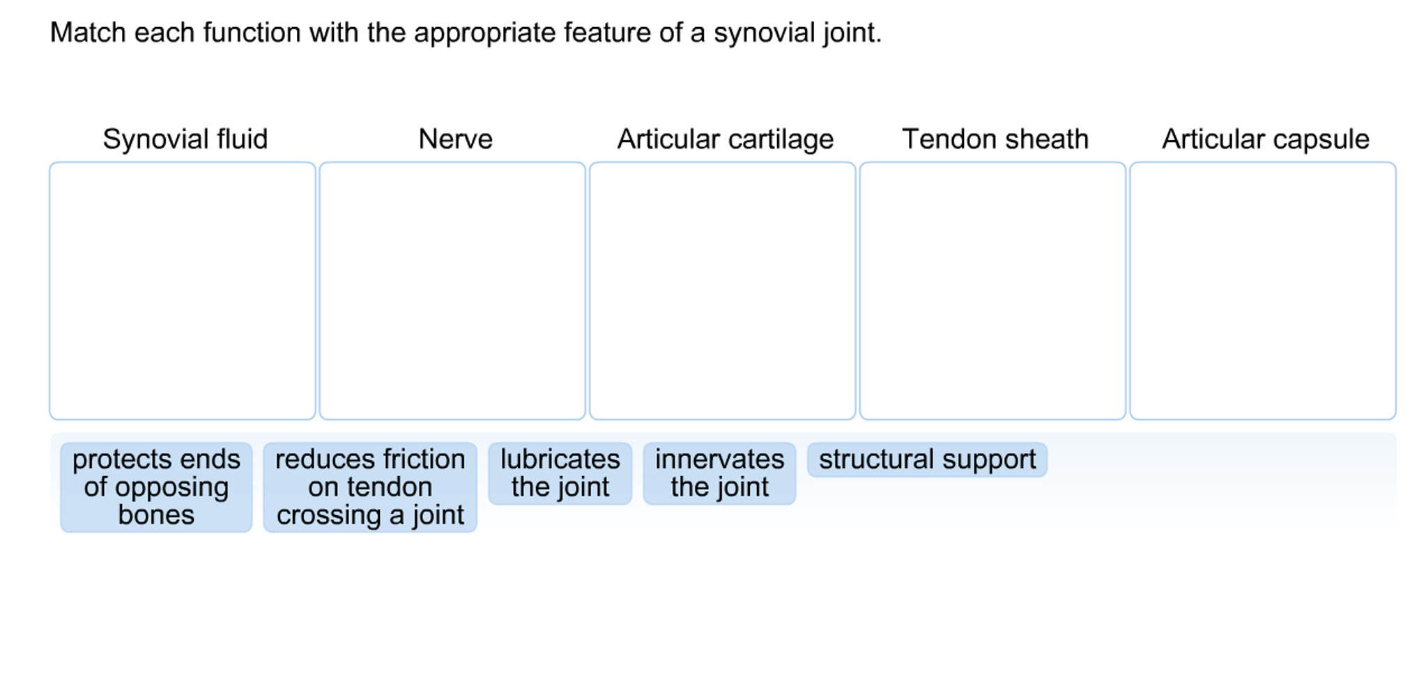 Solved Match each function with the appropriate features of | Chegg.com