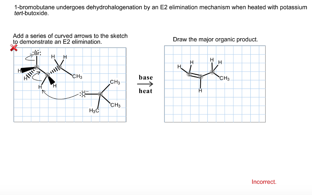 Solved 1-bromobutane undergoes dehydrohalogenation by an E2 | Chegg.com
