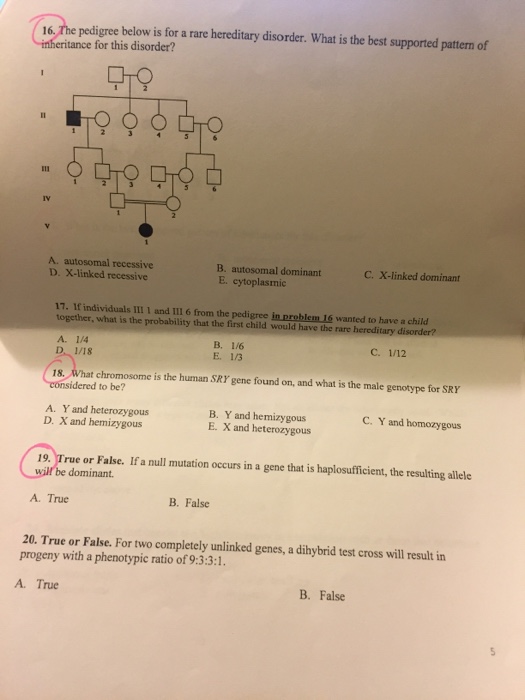 Solved 16, The pedigree below is for a rare hereditary | Chegg.com