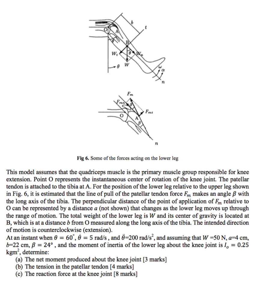 Solved Q5) The angular motion of the lower leg about the | Chegg.com