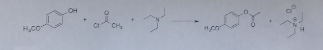Solved Use ChemDraw to draw the reaction scheme of the | Chegg.com