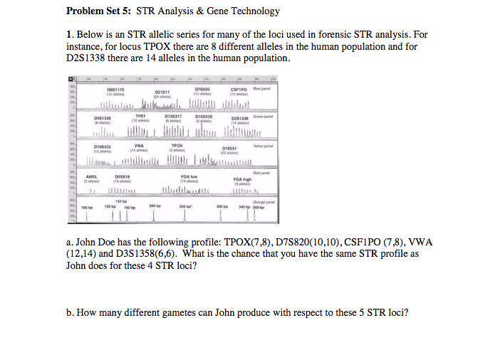 Solved Problem sets: STR Analysis & Gene Technology 1. Below | Chegg.com