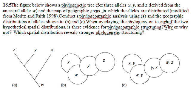 The figure below shows a phylogenetic tree (for three | Chegg.com