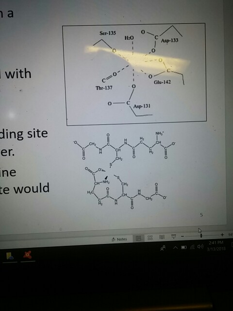 Solved Ser-135 Asp-133 with 0 1 Glu-142 Thr-137 Asp-131 ding | Chegg.com