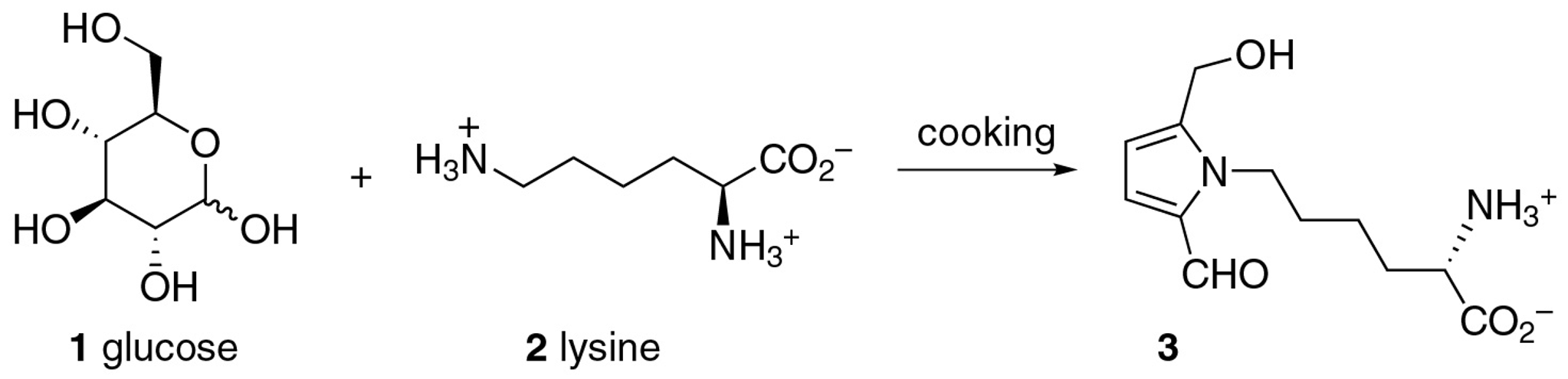 Solved The Maillard reaction occurs during cooking, and it | Chegg.com