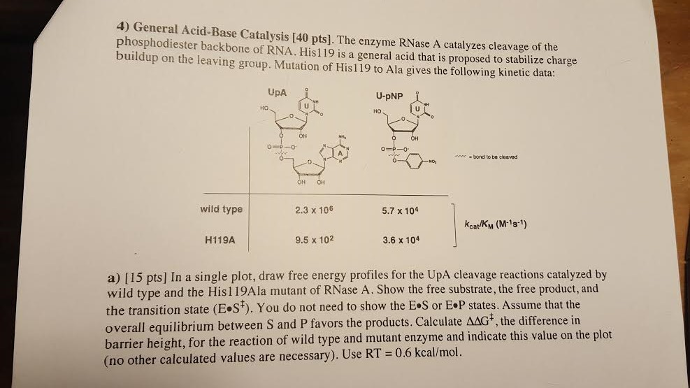 General Acid-Base Catalysis: The enzyme RNase A | Chegg.com