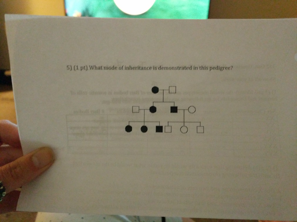 Solved 5) (1 pt) What mode of inheritance is demonstrated in | Chegg.com