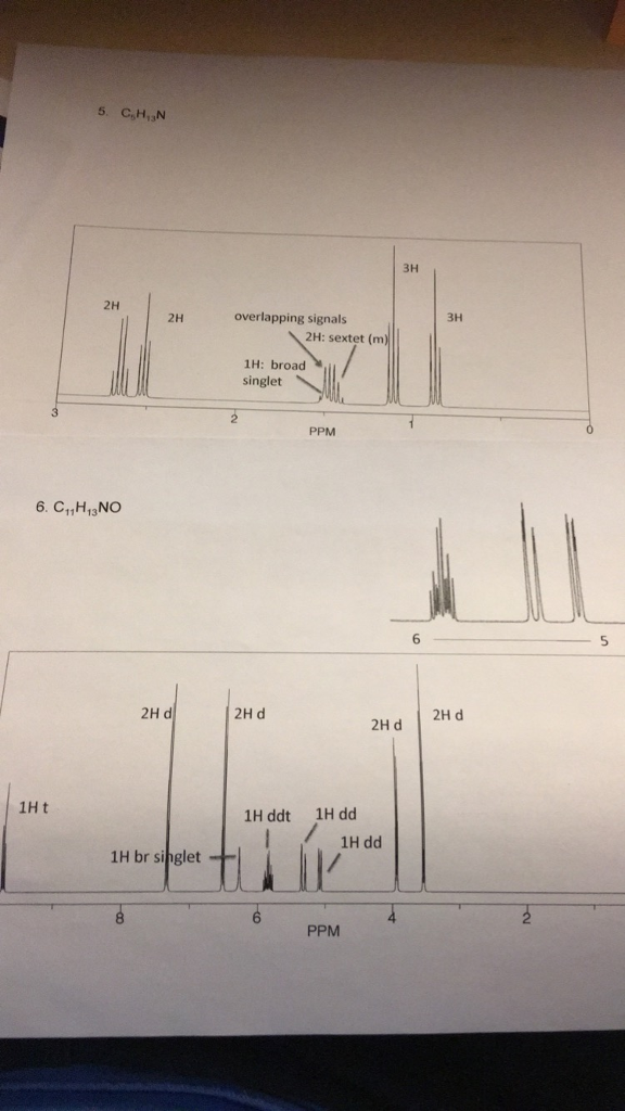 Solved 5, Cs H13N 2H 6. C11H13NO 2H d 1H t 1H br singlet | Chegg.com