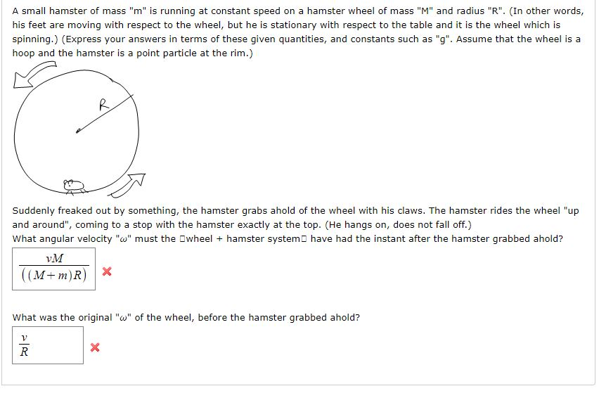 Solved A small hamster of mass "m" is running at constant | Chegg.com