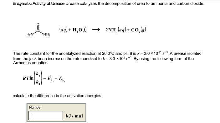 Solved Enzymatic Activity of Urease Urease catalyzes the | Chegg.com