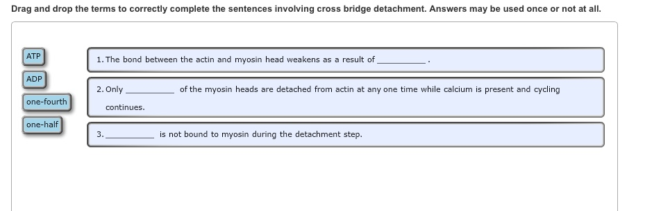 Solved Drag And Drop The Terms To Correctly Complete The