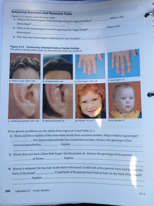 Biology Archive | November 04, 2015 | Chegg.com