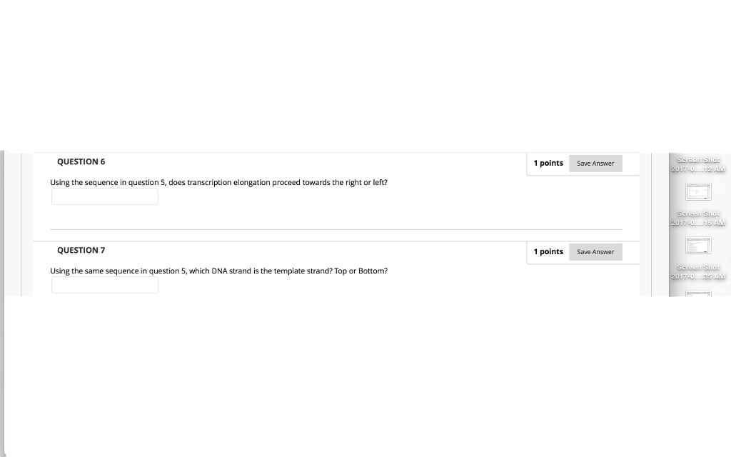 Solved An E. coli transcript with the first two nucleotides | Chegg.com