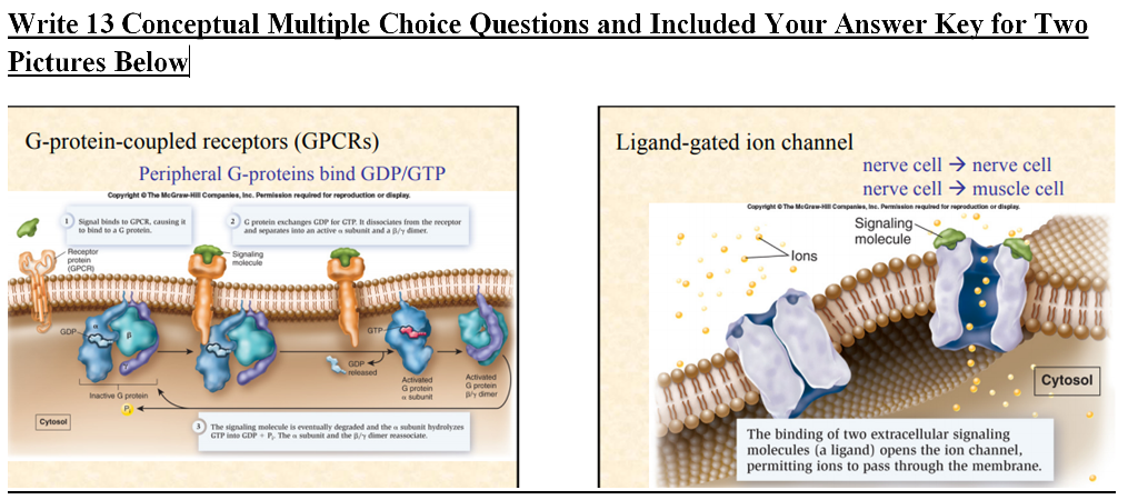 Solved Note: Write 13 Conceptual Multiple Choice Questions | Chegg.com