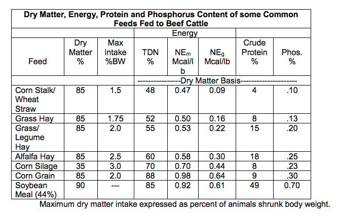 Solved Find the requirements for a mature beef cow at BCS 5 | Chegg.com