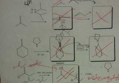 Solved can anyone help fix/answer the boxes. | Chegg.com