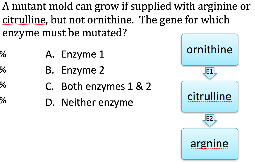 Solved A mutant mold can grow if supplied with arginine or | Chegg.com