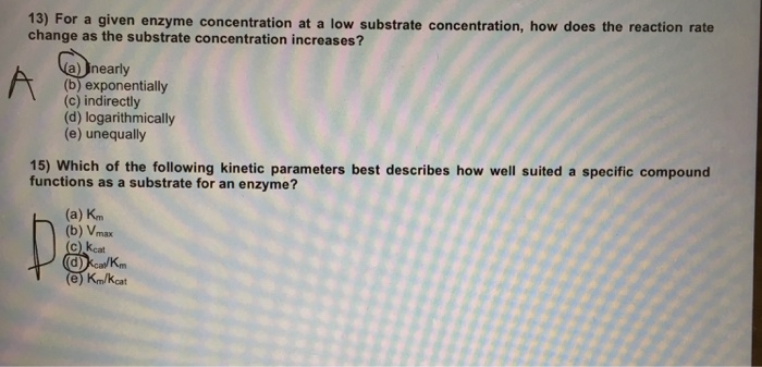 Solved 13) For a given enzyme concentration at a low | Chegg.com
