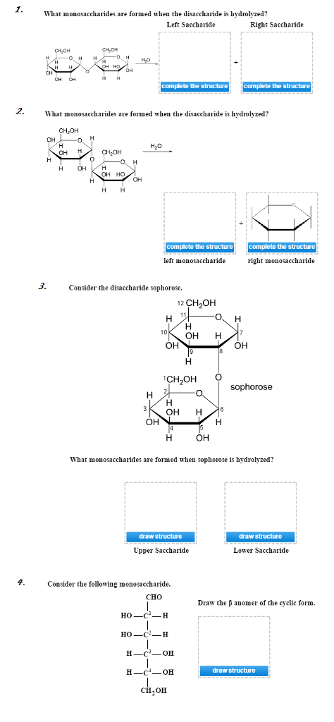 Solved What monosaccharides are formed when the disaccharide | Chegg.com