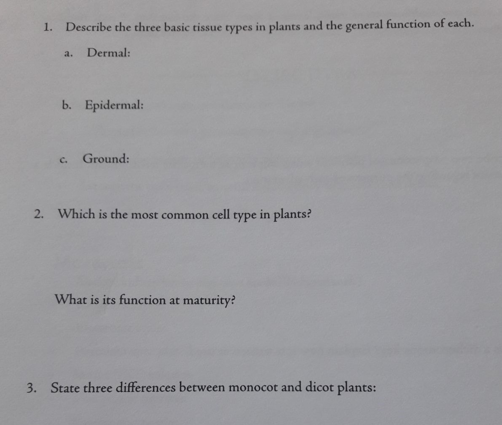 Solved 1 Describe The Three Basic Tissue Types In Plants Chegg