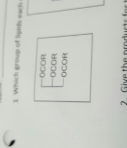 Solved 1 Which group of lipids each OCOR OCOR OCOR | Chegg.com
