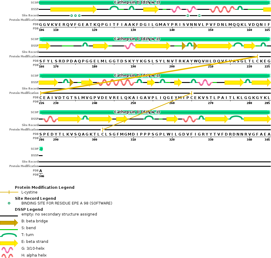 Solved SCOP DSSP Site Record Protein Modification PDBGP | Chegg.com
