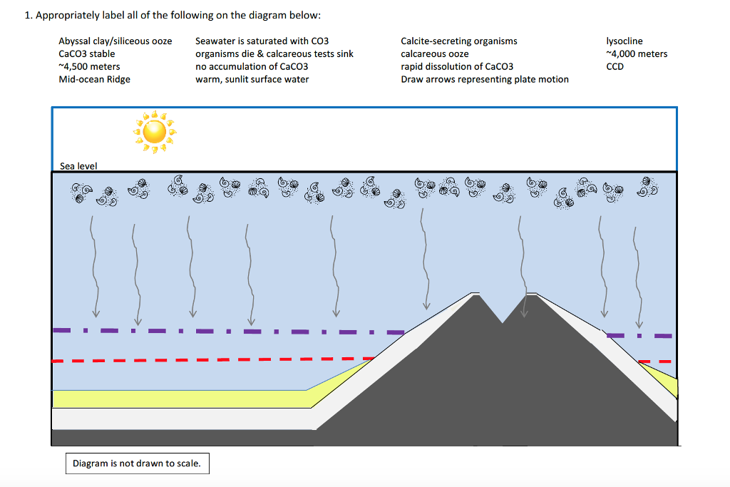 Solved 1. Appropriately label all of the following on the | Chegg.com