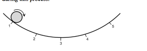 Solved A ball, starting from rest at Position 1, rolls back | Chegg.com