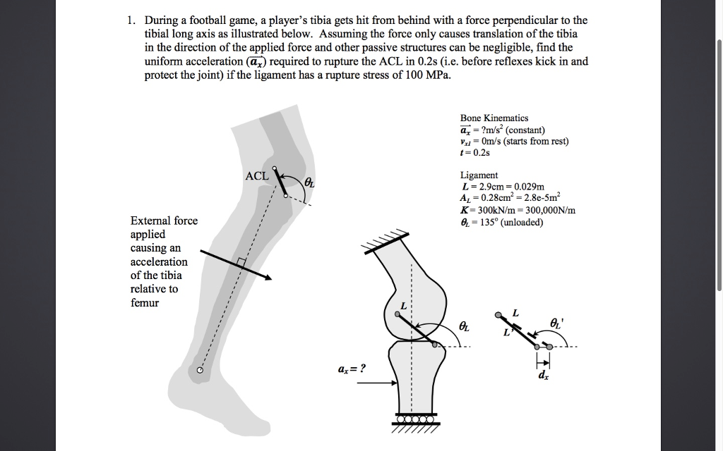 Solved 1. During a football game, a player's tibia gets hit | Chegg.com