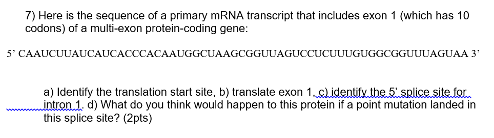 Solved Here is the sequence of a primary mRNA transcript | Chegg.com