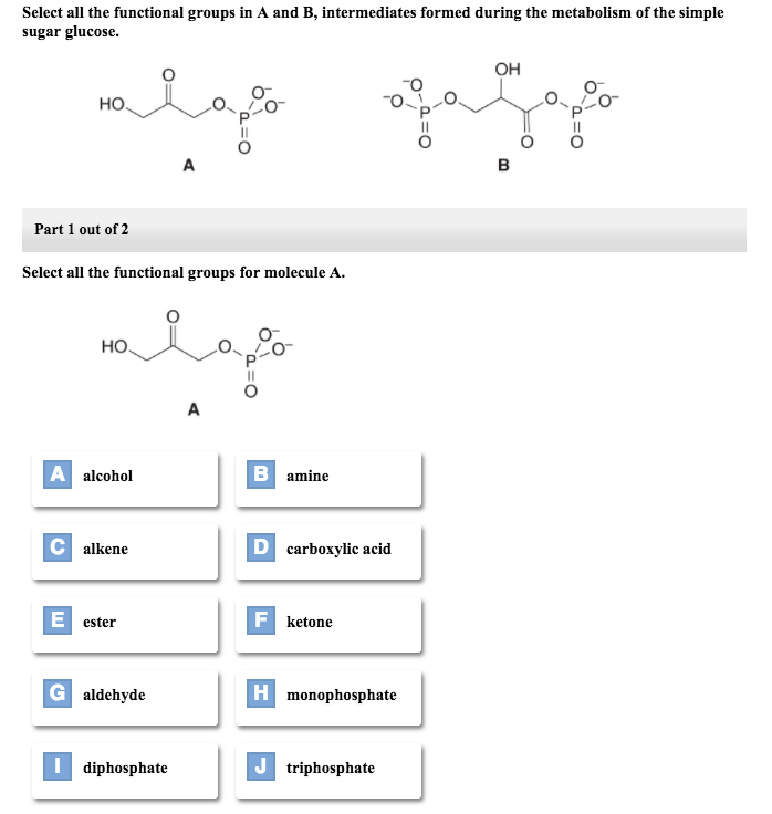 Solved Select all the functional groups in A and B, | Chegg.com