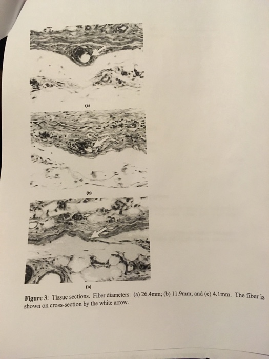 Solved Problem 5 /20 points Researchers investigated | Chegg.com
