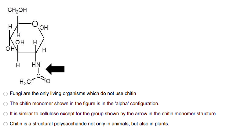 Solved Shown below is a structure of the chitin monomer. | Chegg.com