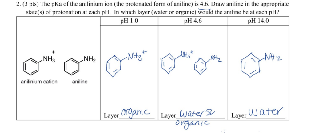 Solved 2. (3 pts) The pKa of the anilinium ion (the | Chegg.com