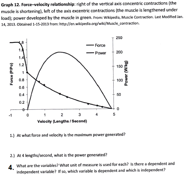 Solved Force-velocity relationship: right of the vertical | Chegg.com