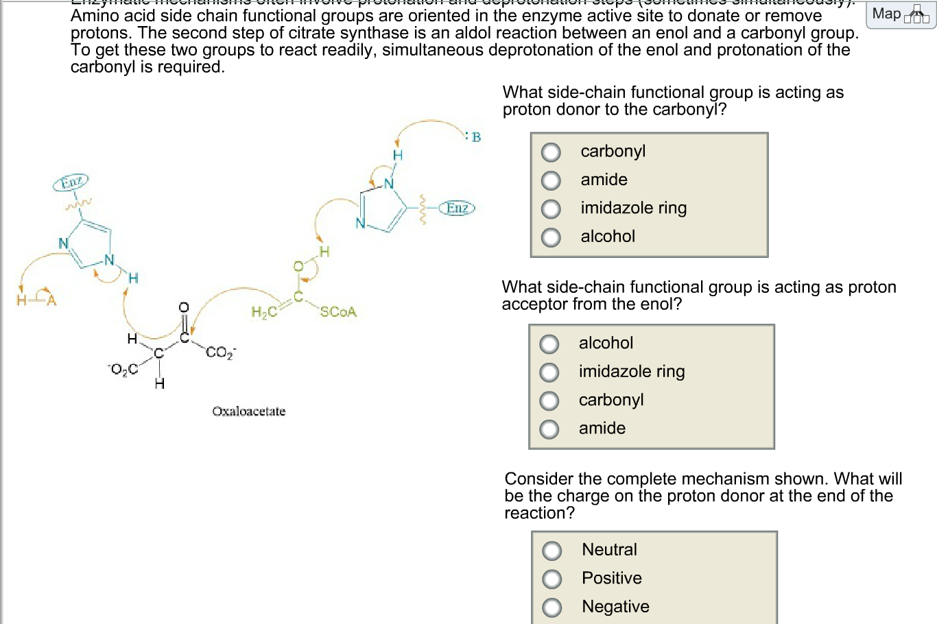Solved Amino acid side chain functional groups are oriented | Chegg.com