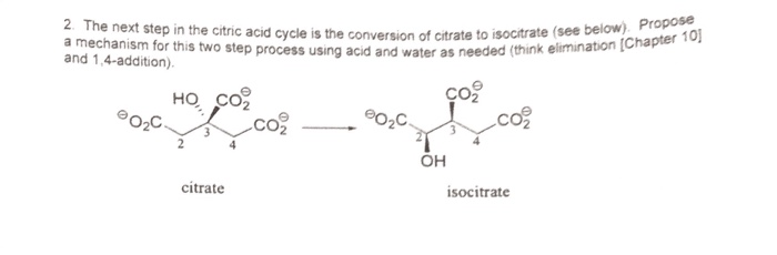Citrate To Isocitrate
