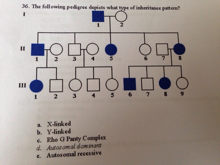Solved The following pedigree depicts what type of | Chegg.com