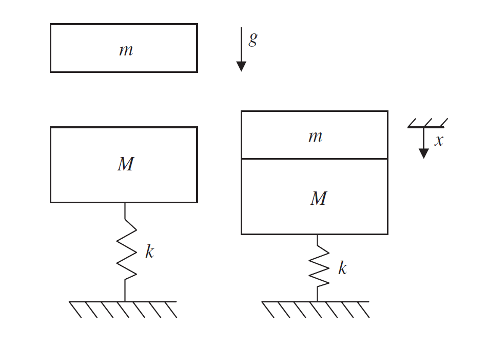 Solved A mass, M, and spring, k, are at rest in a gravity | Chegg.com